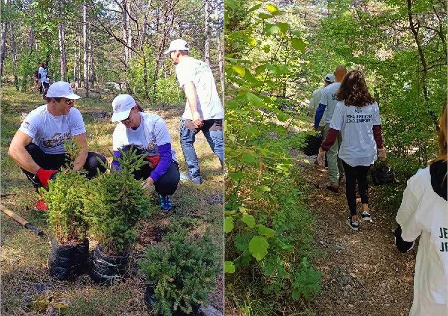 PARK ŠUMA TREBJESA ZELENIJA ZA JOŠ 500 STABALA | Pivara Trebjesa